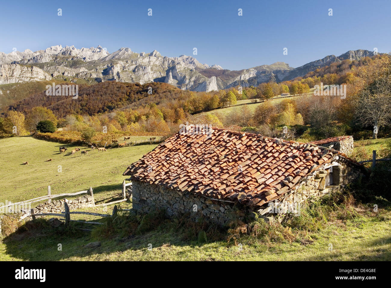 Ponga national park asturias hi-res stock photography and images - Alamy