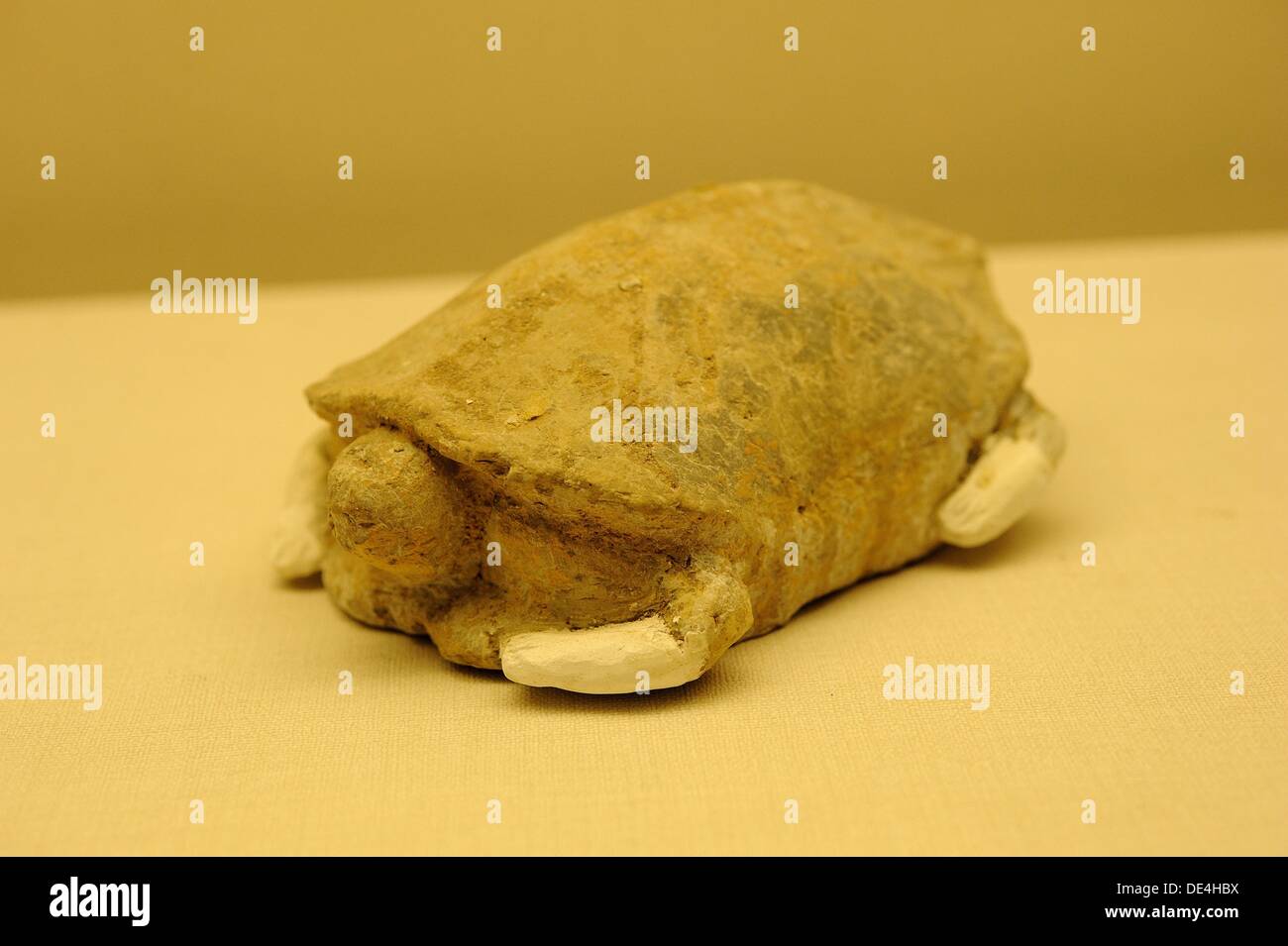 Pottery tortoise western han dynasty hi-res stock photography and ...