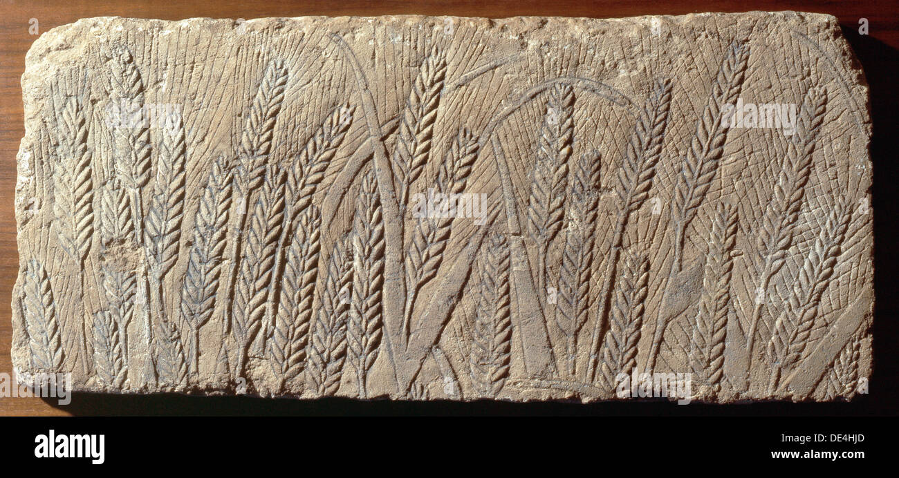 Ancient egypt agriculture wheat hi-res stock photography and images - Alamy