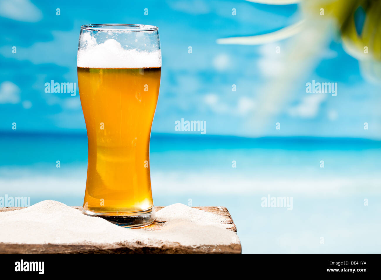 beer at beach Stock Photo - Alamy