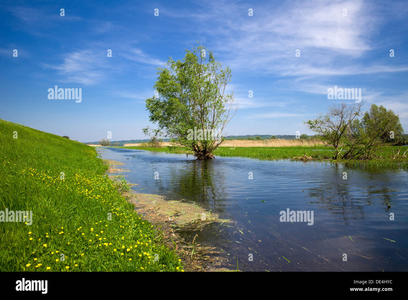 Stolpe, Germany, view over the Oder River in the Lower Oder Valley ...
