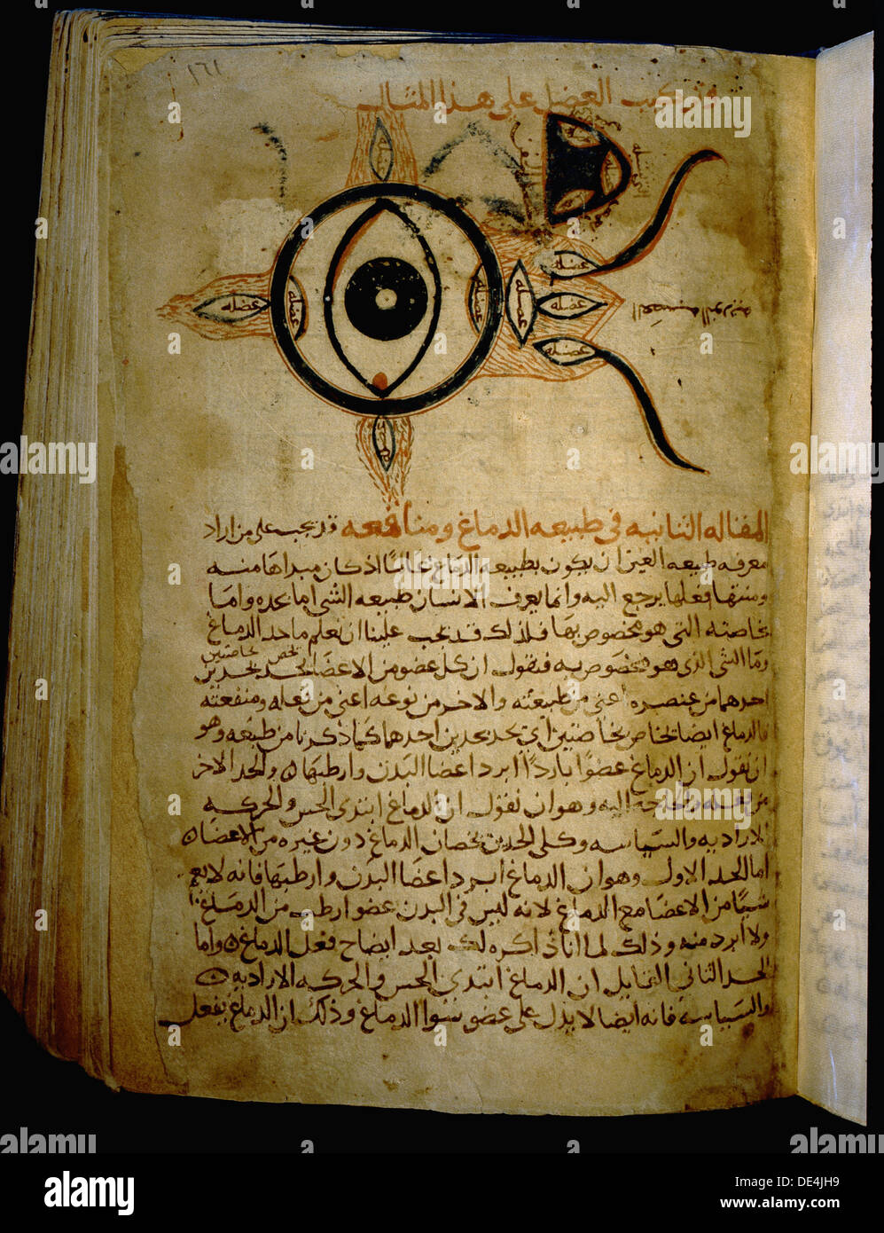 Islamic Medicine High Resolution Stock Photography and Images - Alamy