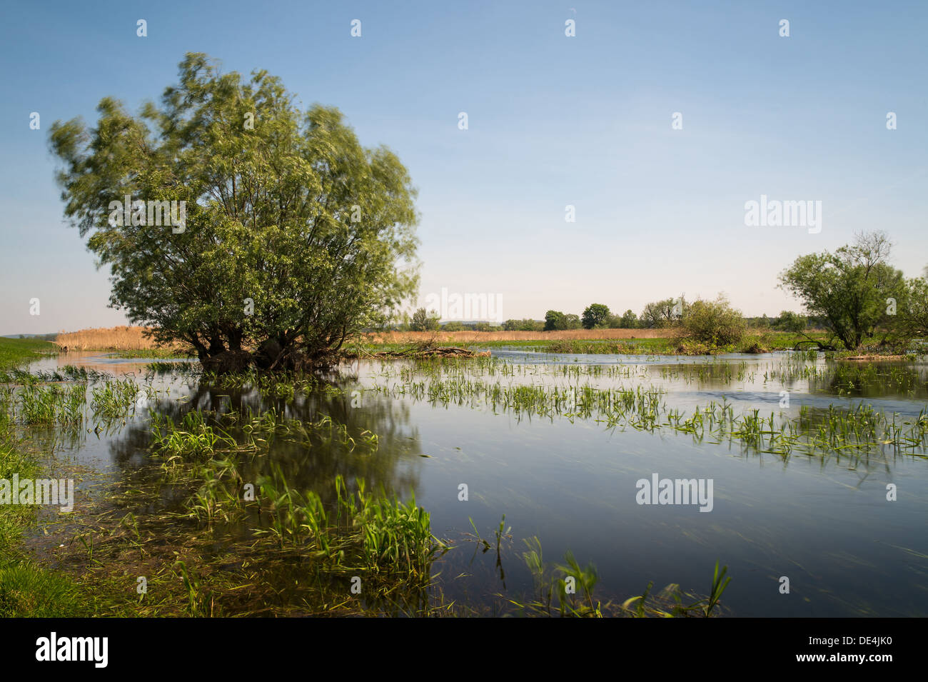 Lower oder valley national park hi-res stock photography and images - Alamy