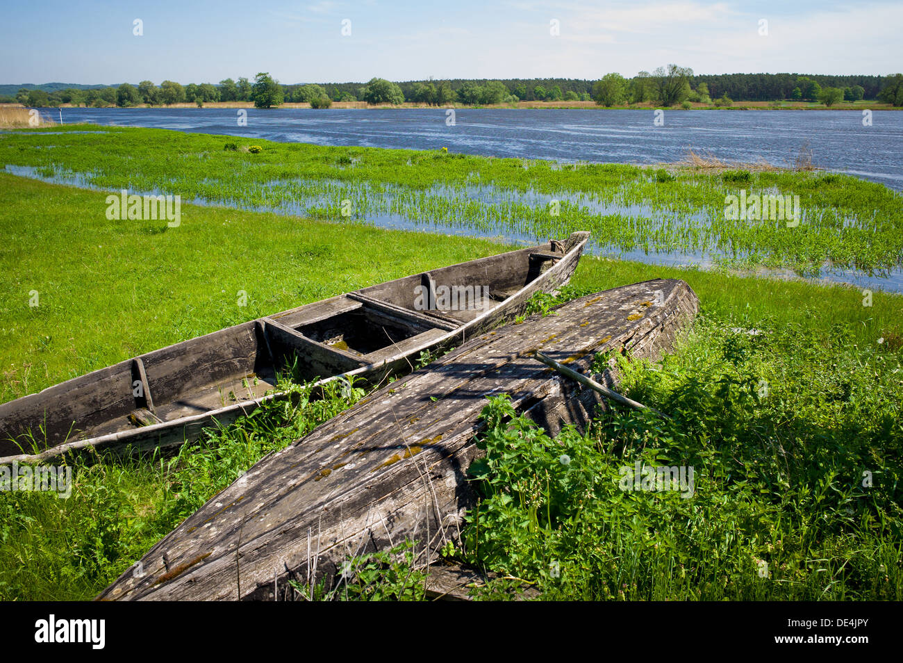Stolpe, Germany, floodplain landscape in the Lower Oder Valley National ...