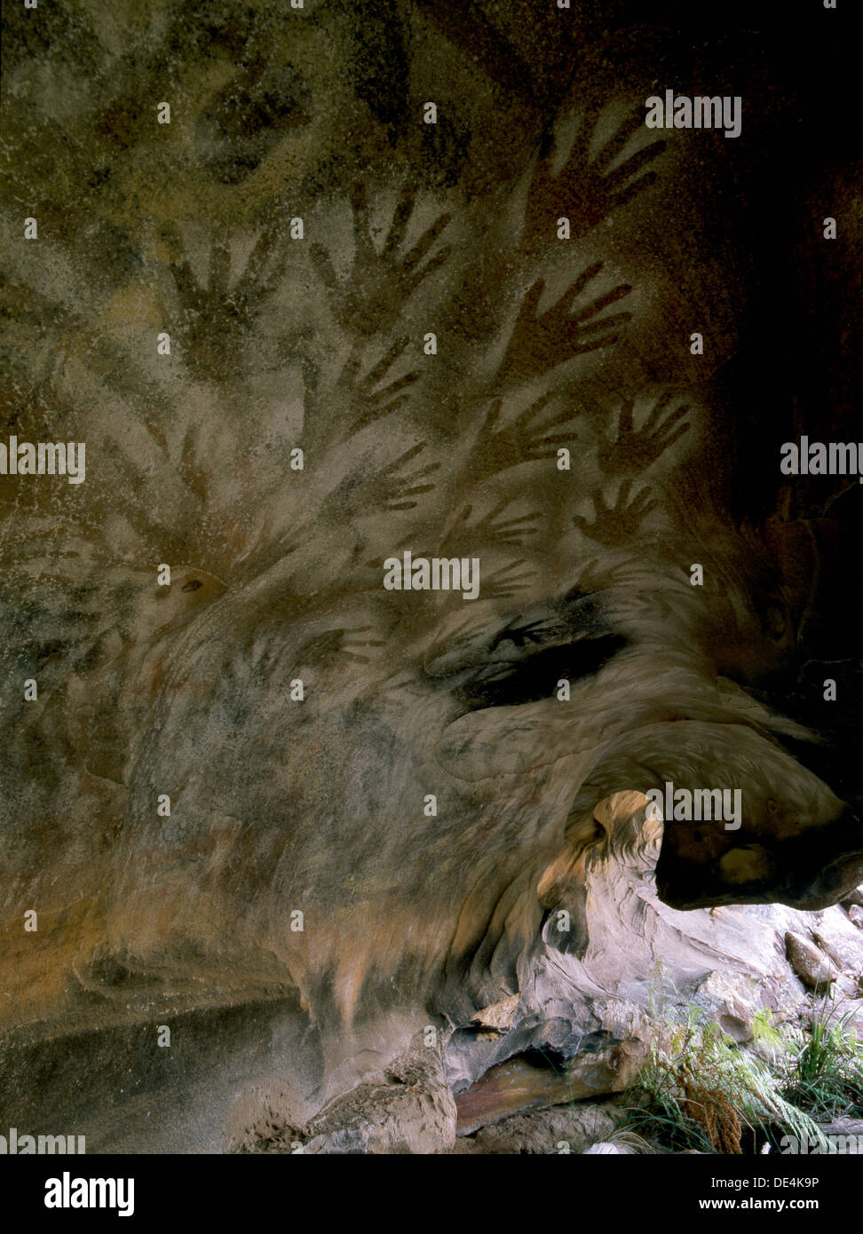 Cave snakes hi-res stock photography and images - Alamy