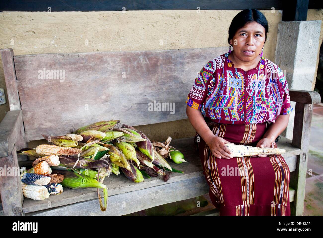 Maya mayan corn hi-res stock photography and images - Alamy