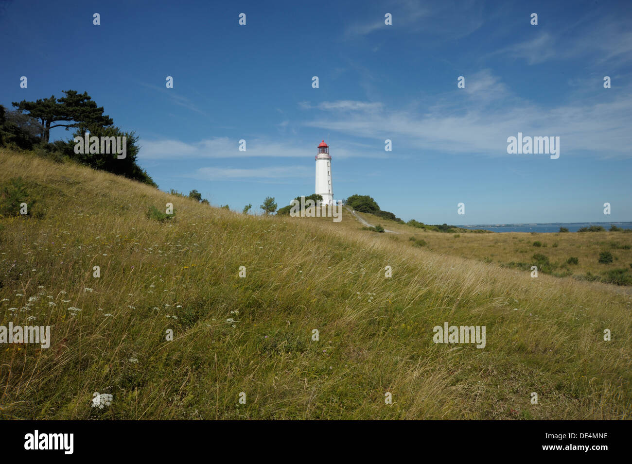 Insel hiddensee hi-res stock photography and images - Alamy