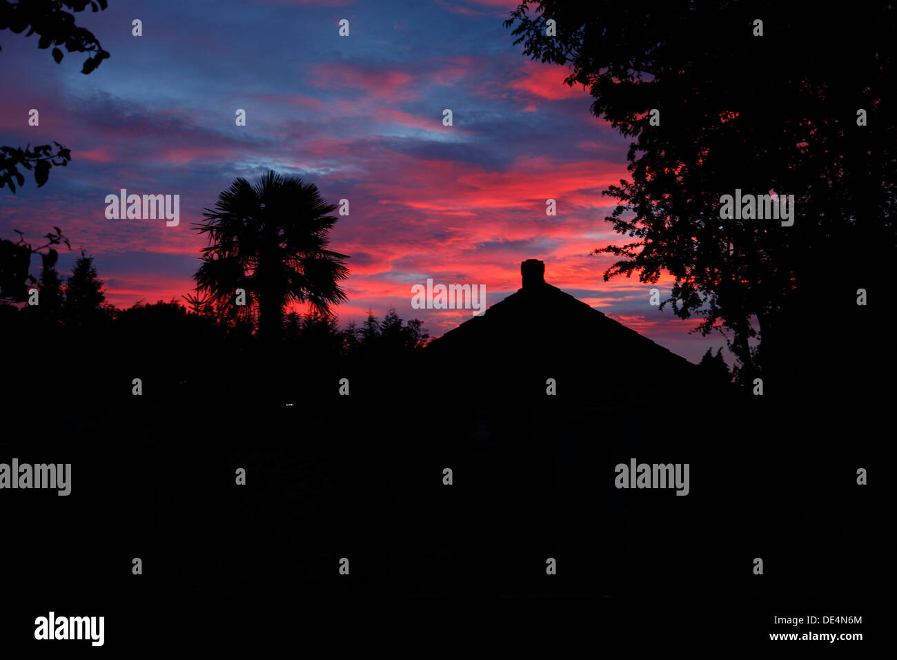 Purple sunset silhoutte hi-res stock photography and images - Alamy