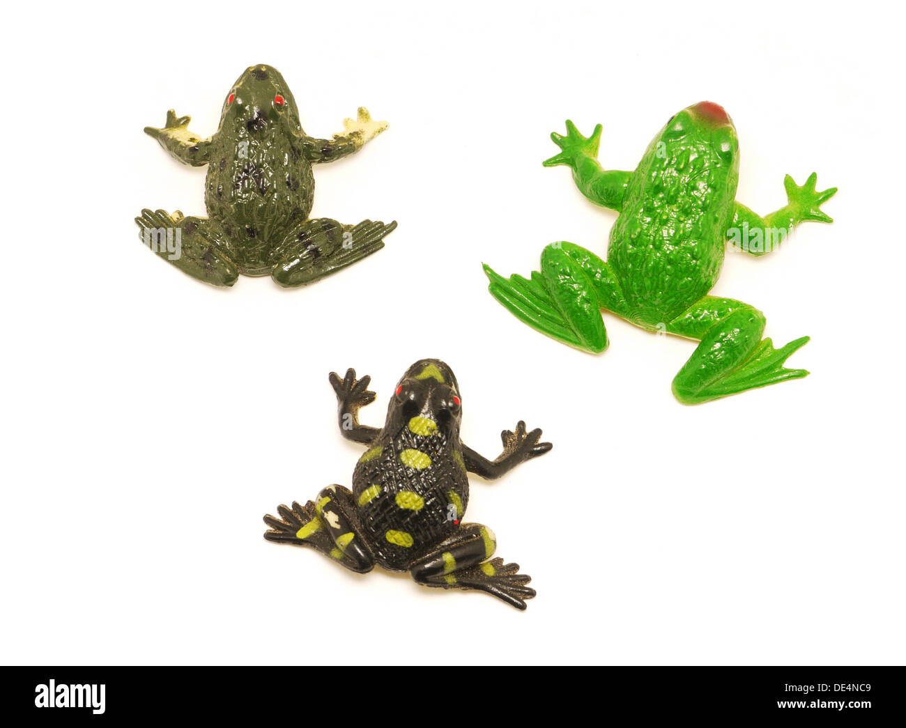 Frogs on a white background Stock Photo - Alamy