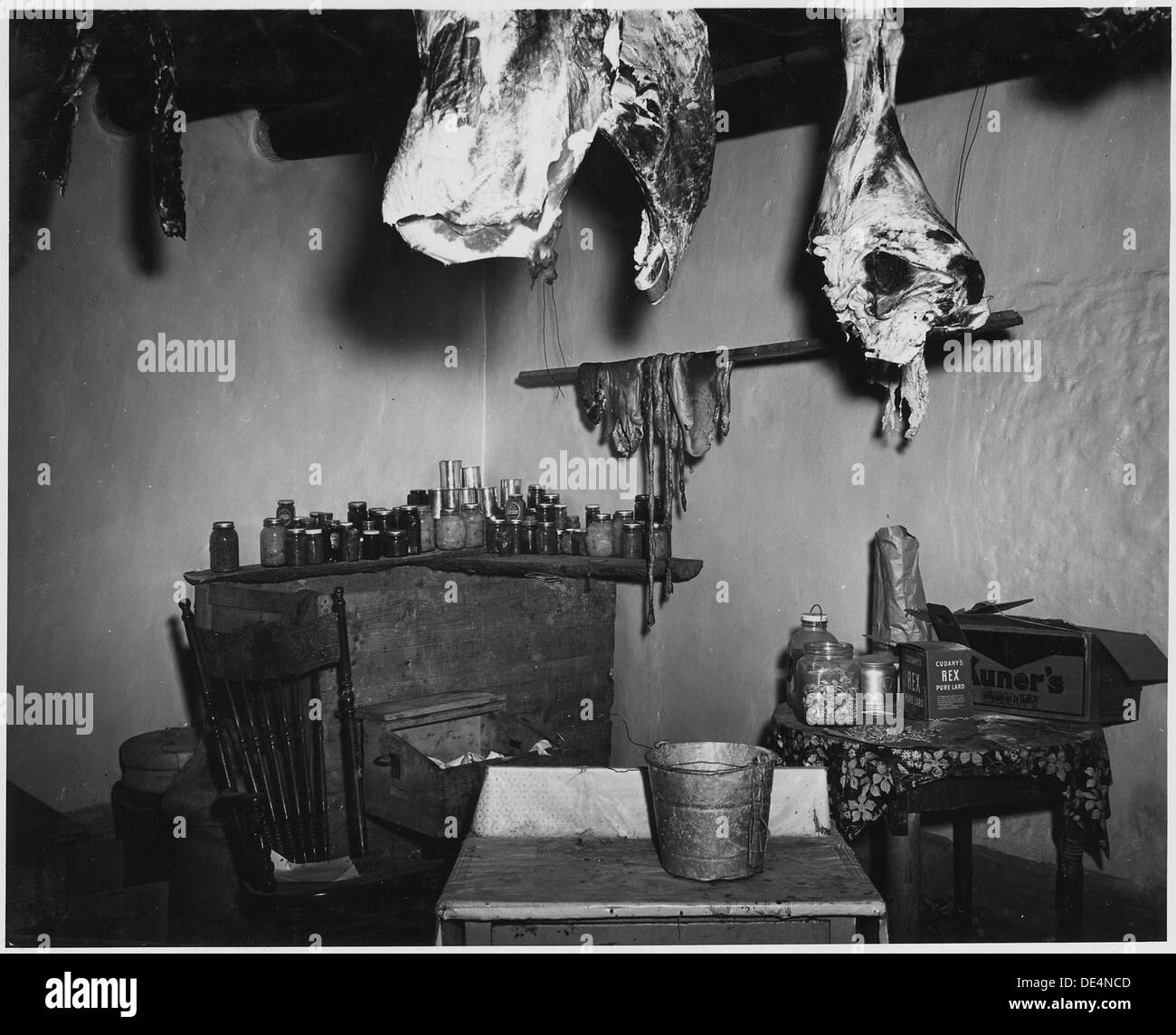 Fat storage Black and White Stock Photos & Images - Alamy