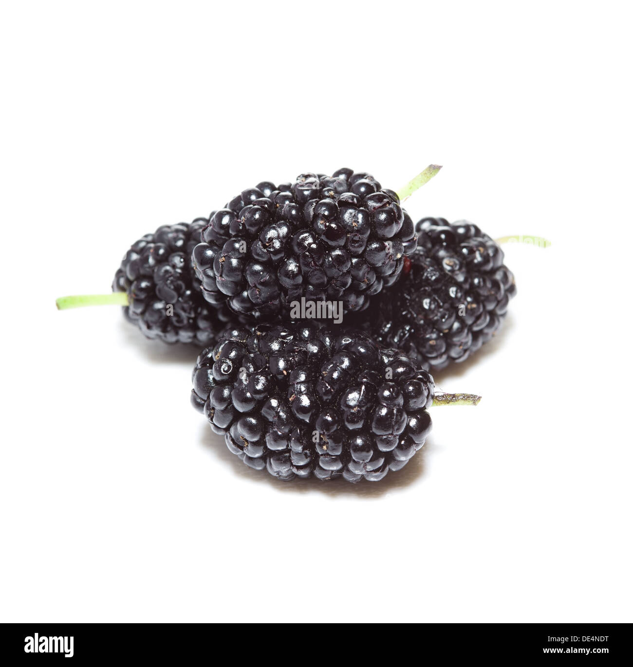 Pile mulberry fruit on Cut Out Stock Images & Pictures - Alamy