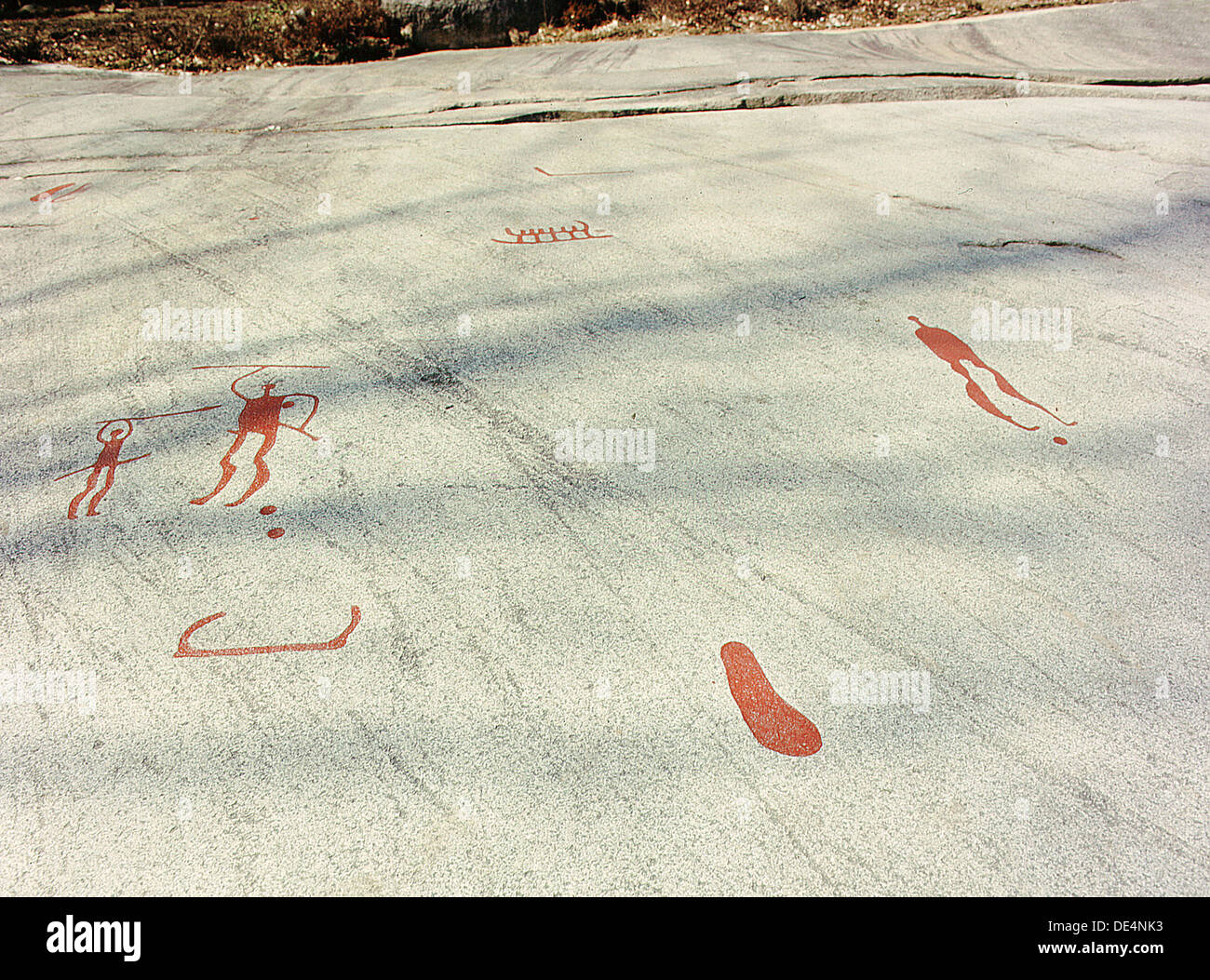 Snake footprint hi-res stock photography and images - Alamy