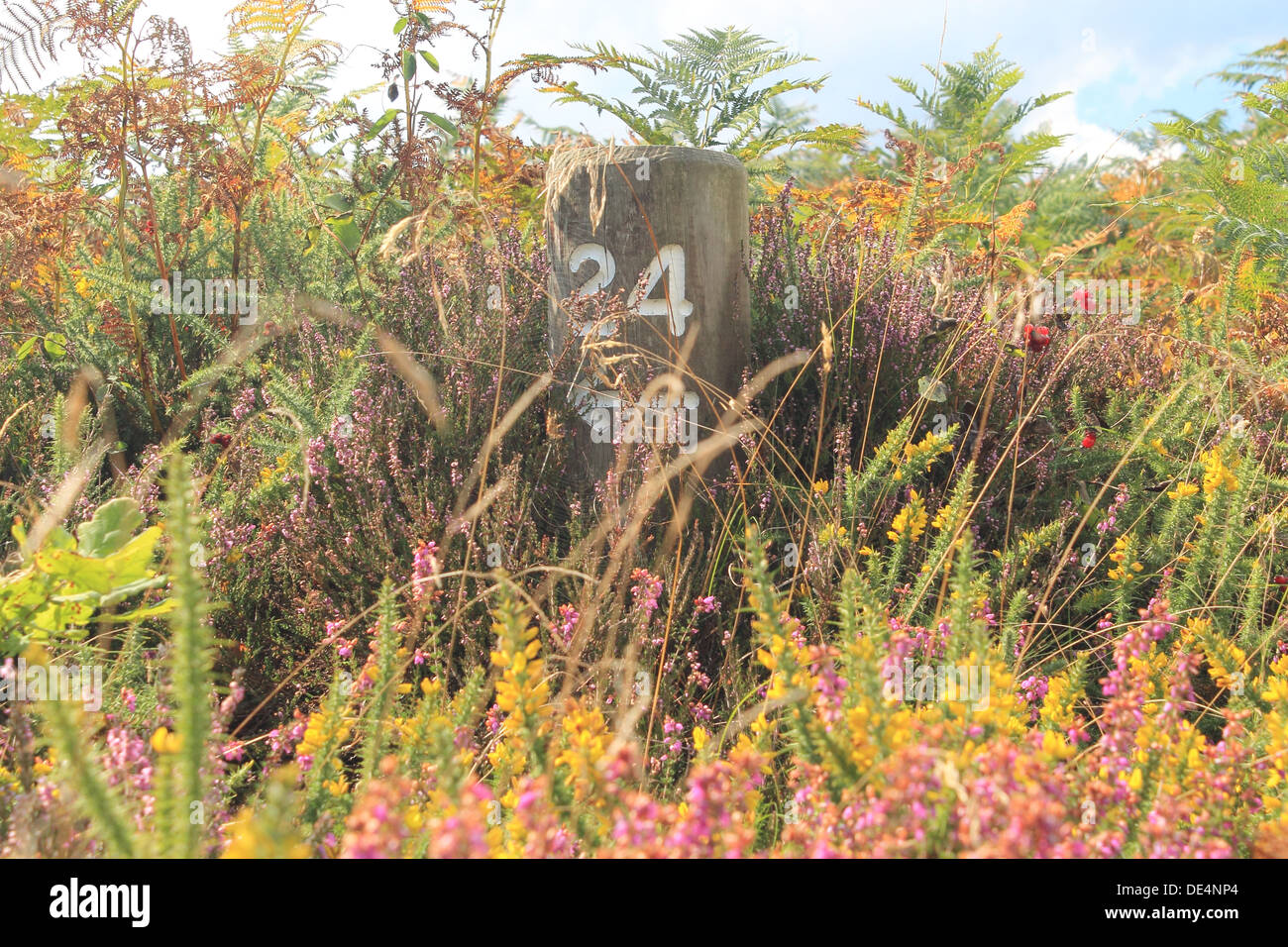 Mile marker hi-res stock photography and images - Alamy