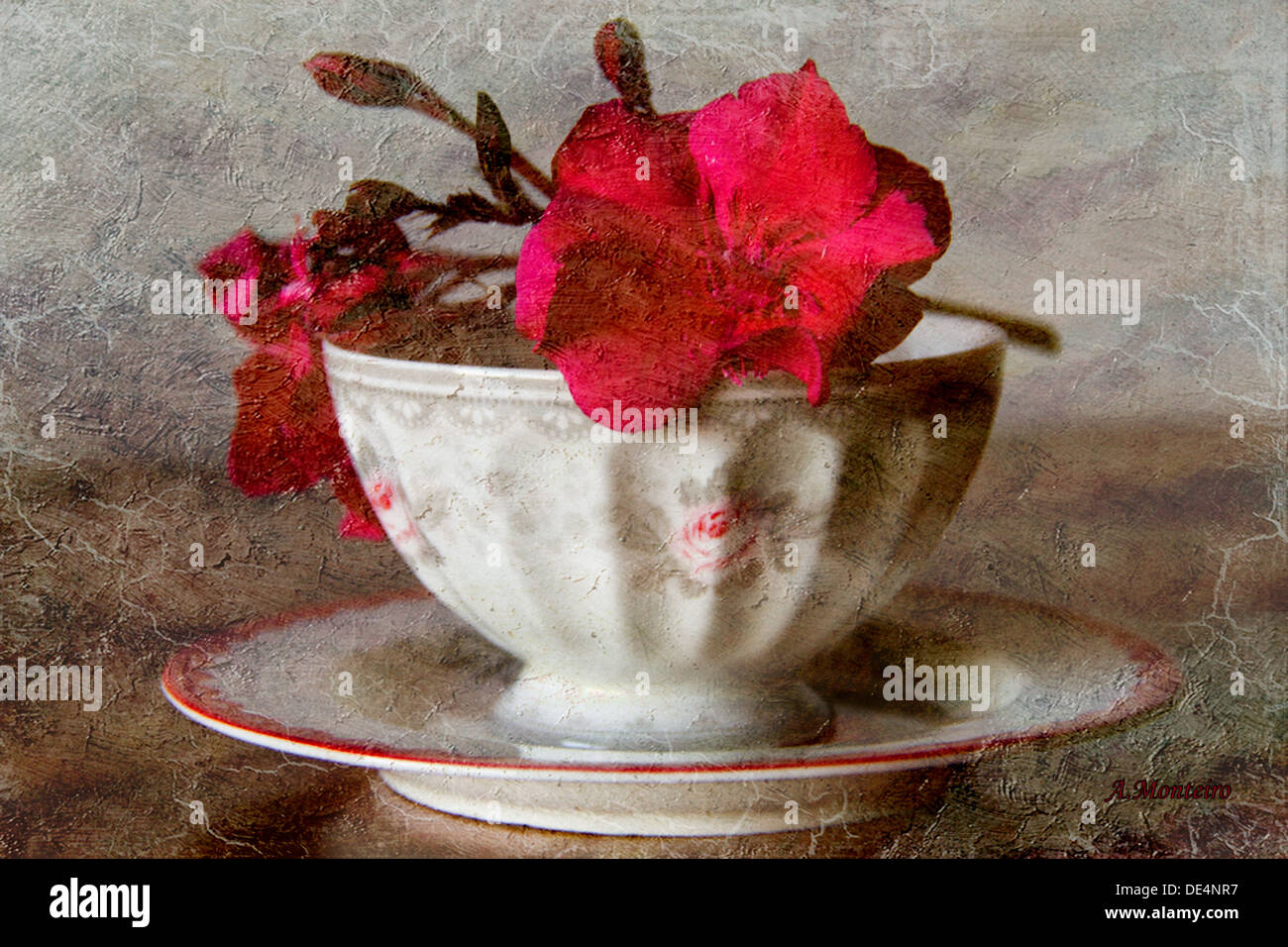 still life with flower Stock Photo - Alamy