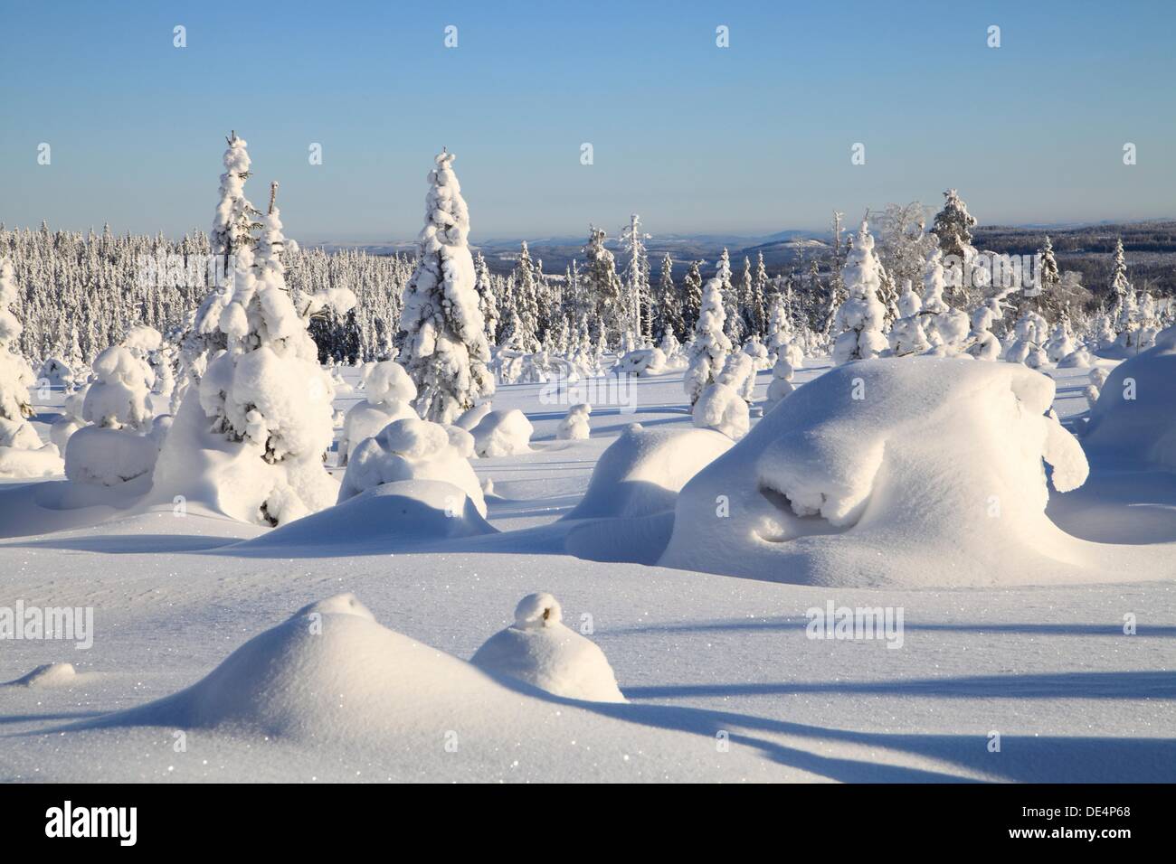 Harsa hi-res stock photography and images - Alamy