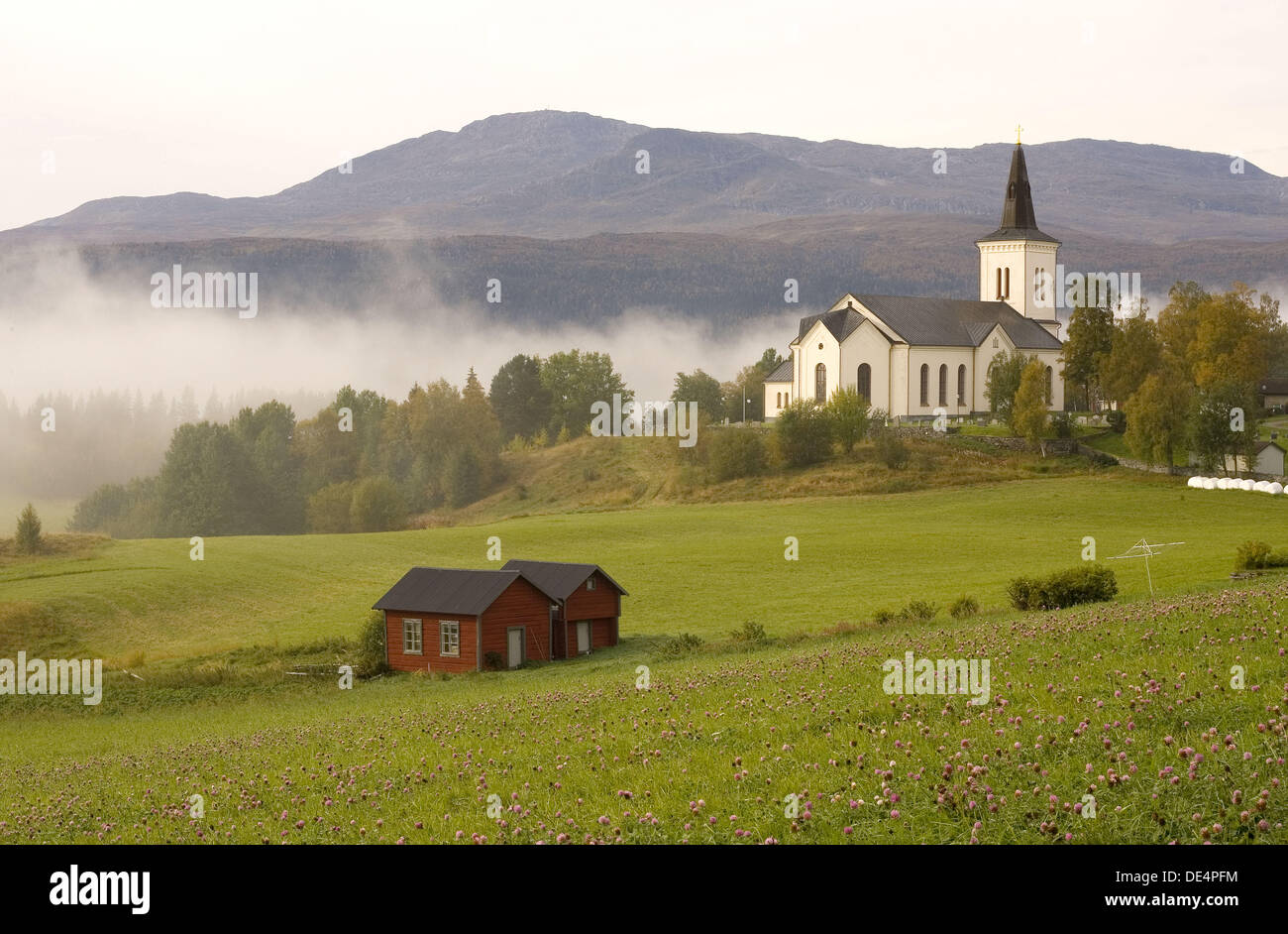 Kall hi-res stock photography and images - Alamy