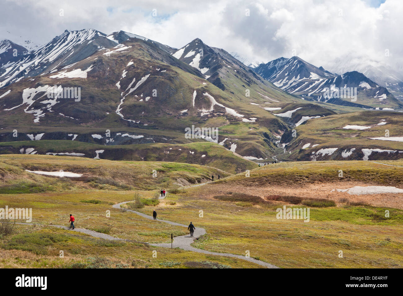 Polychrome mountains, Denali National Park and Preserve, Alaska, U.S.A ...
