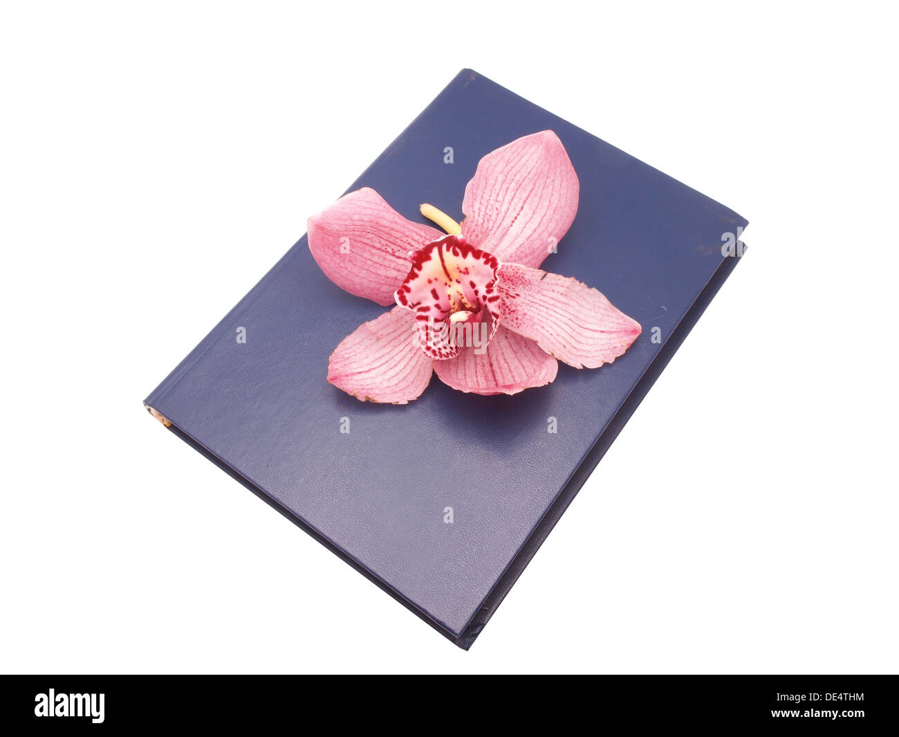 Orchid and the book Stock Photo - Alamy