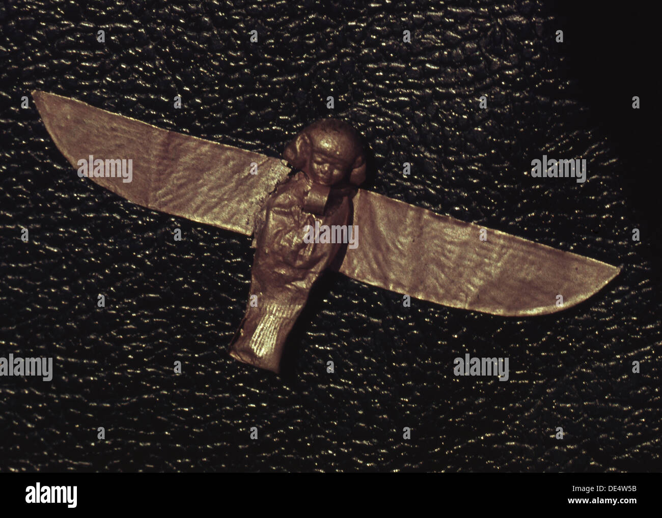 Ba bird hi-res stock photography and images - Alamy