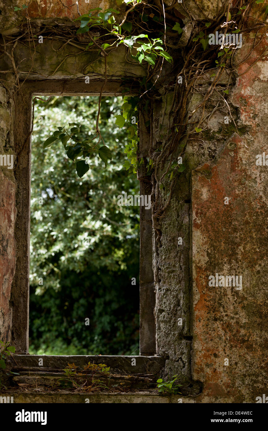 Old window at Lackagh More, Kildare, Ireland Stock Photo - Alamy