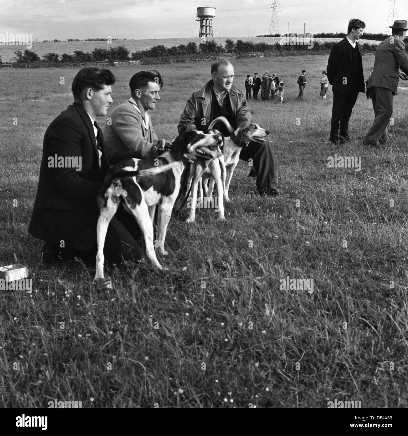 Hound Trailing, one of Cumbria's oldest and most popular sports ...
