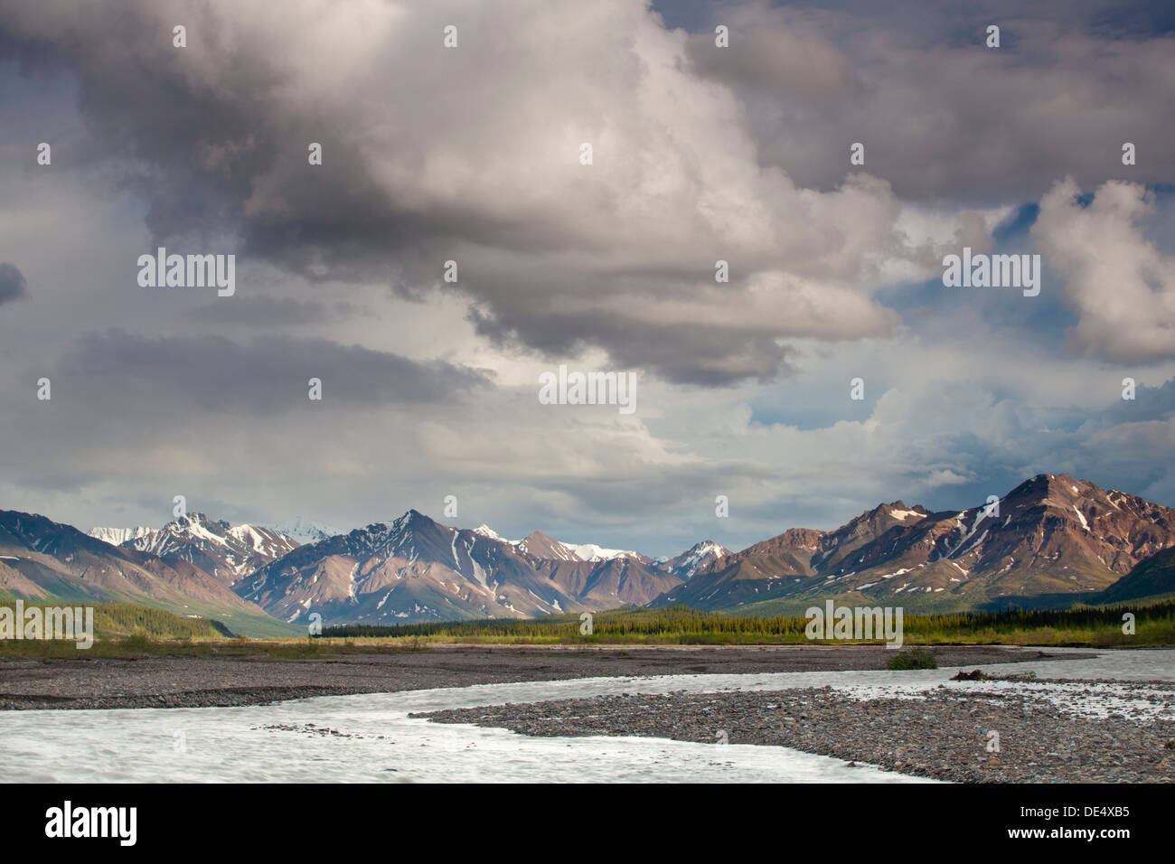 Teklanika river, Denali National Park and Preserve, Alaska, U.S.A Stock ...