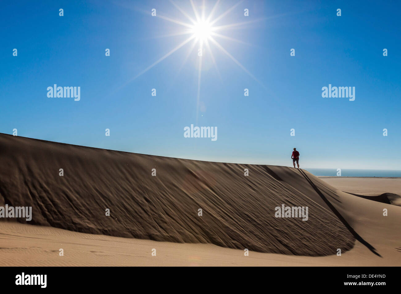 Man walking in the dune belt of Long Beach, Swakopmund, Namibia Stock ...