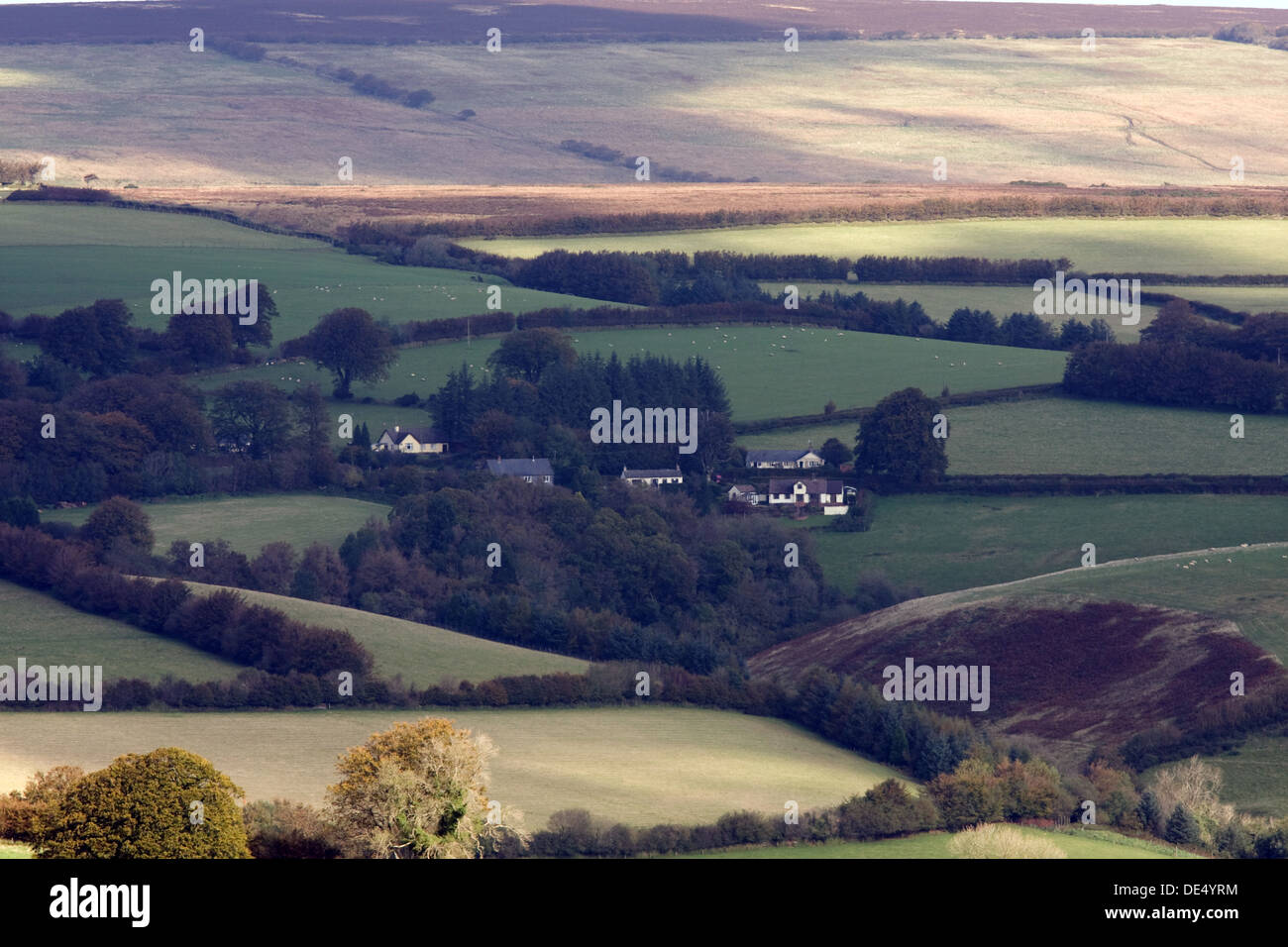 Farmland, Exmoor, Somerset, England, UK Stock Photo - Alamy