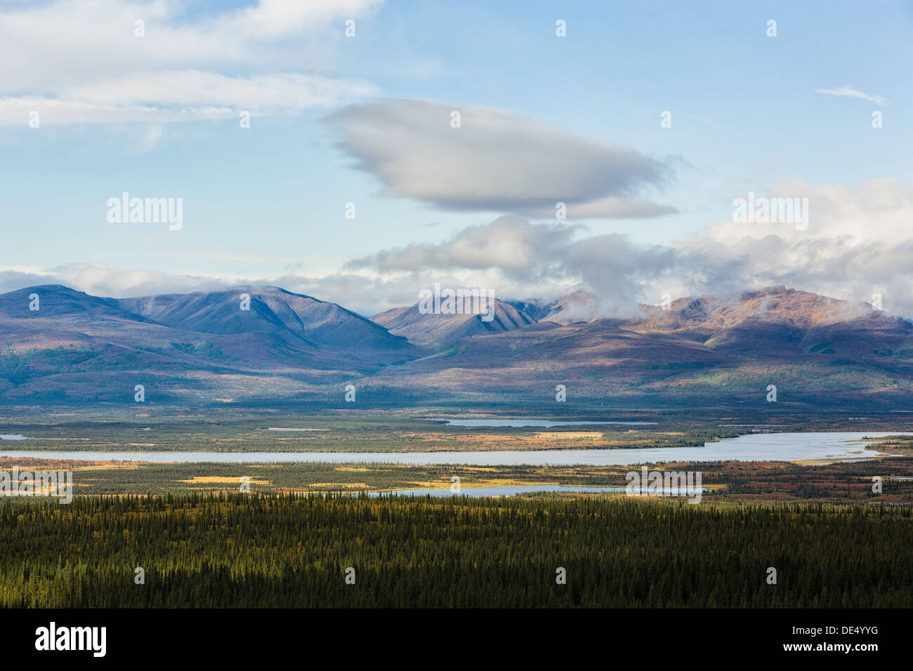 The Susitna River Valley and peak autumn colors and spruce trees along ...