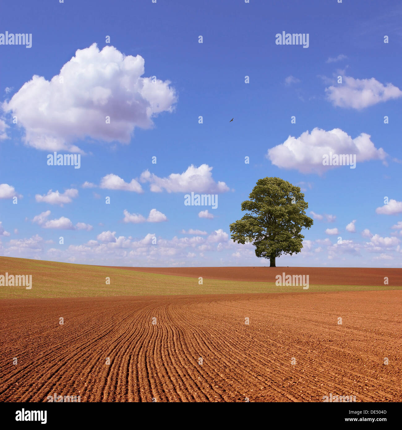 Field and hills hi-res stock photography and images - Alamy