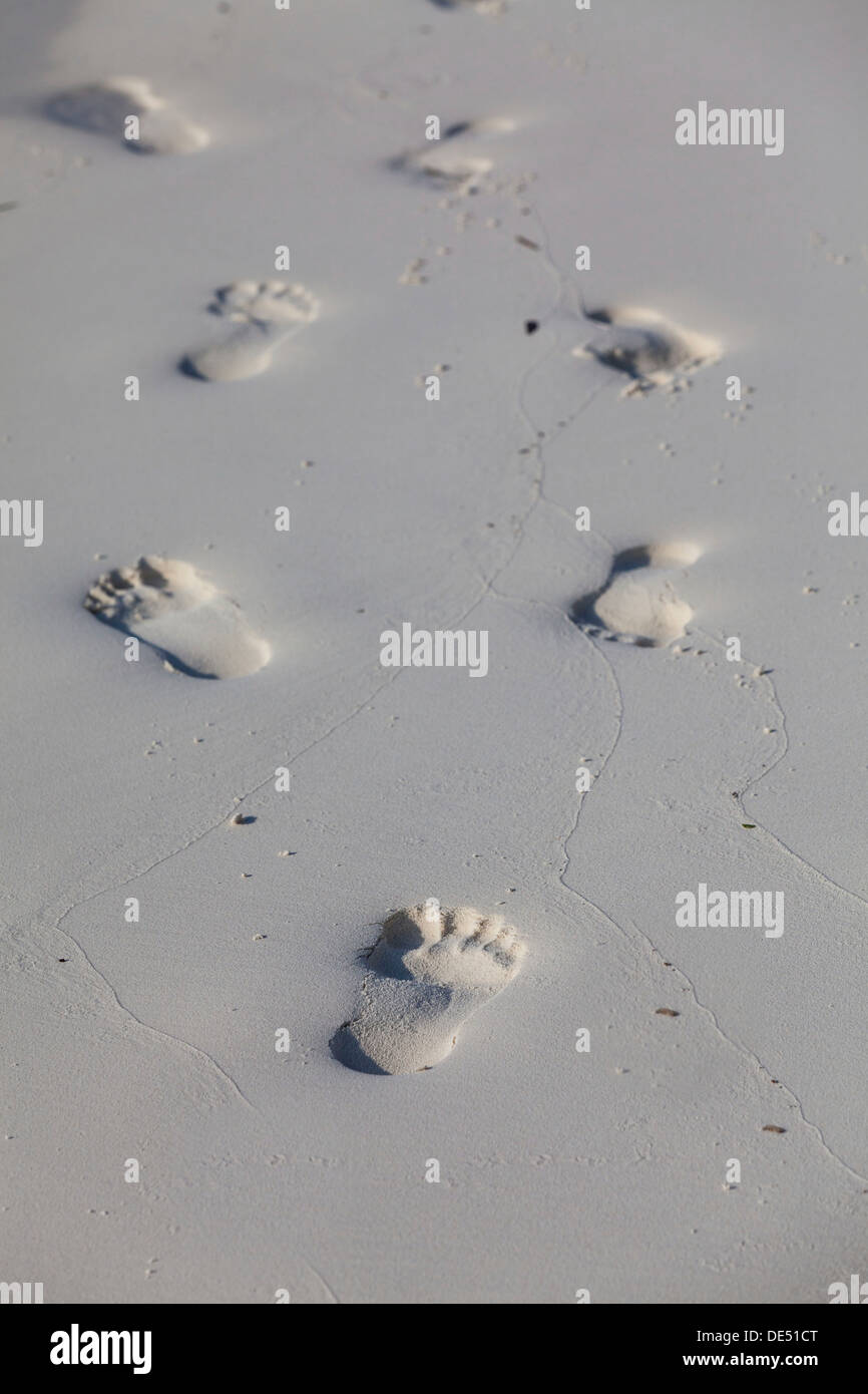 Footprints in the sand, coming and going Stock Photo - Alamy