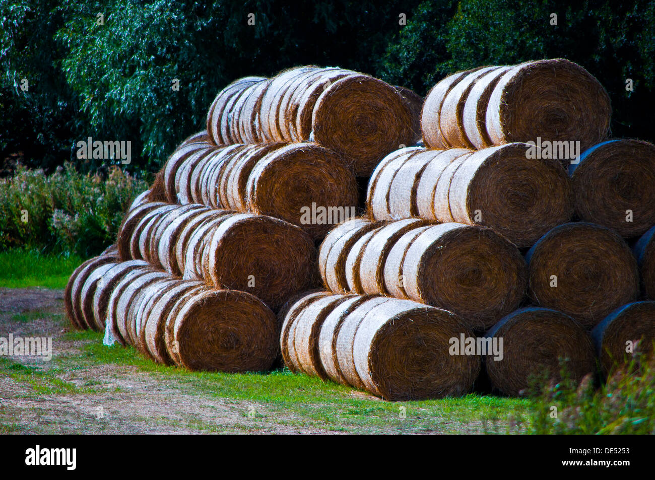 Field straw stack hi-res stock photography and images - Alamy