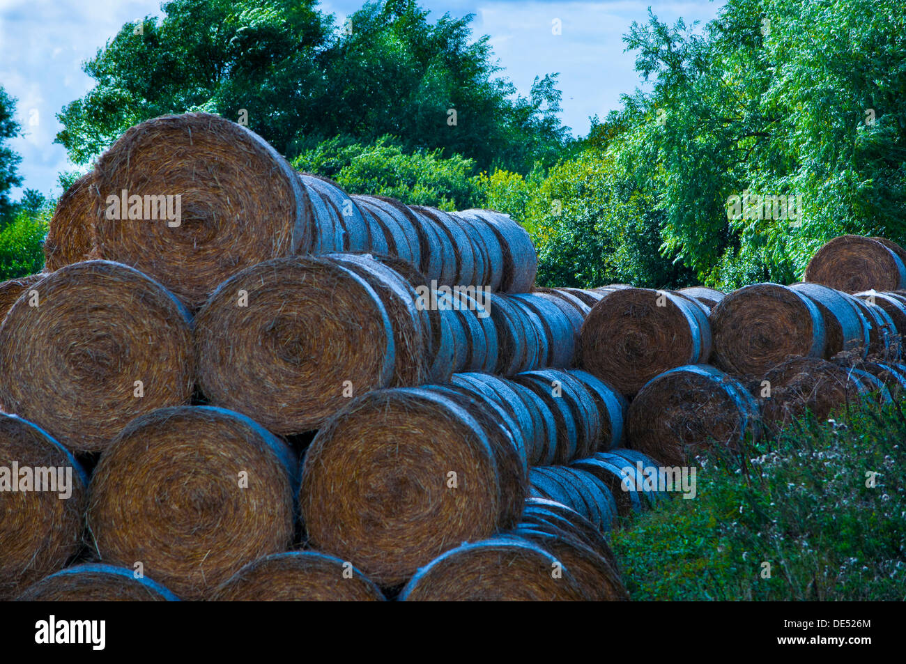 Large stack of round straw bails in field Stock Photo - Alamy