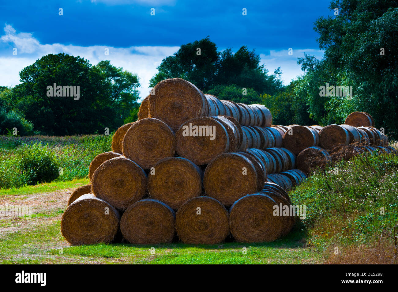 Large stack of round straw bails in field Stock Photo - Alamy