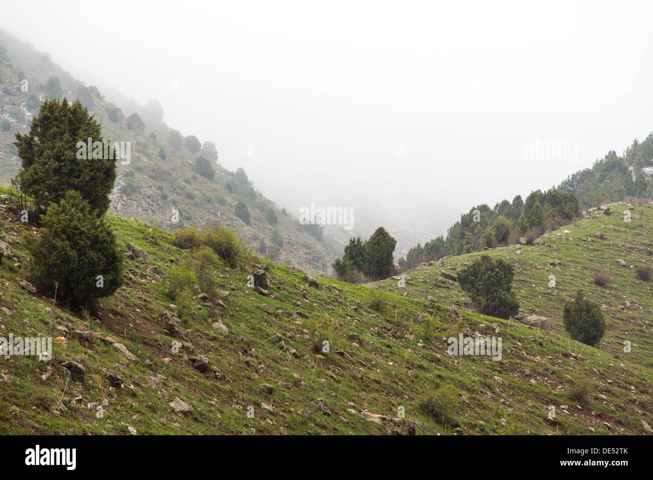 Tian Shan mountain range in Kyrgyzstan Stock Photo - Alamy
