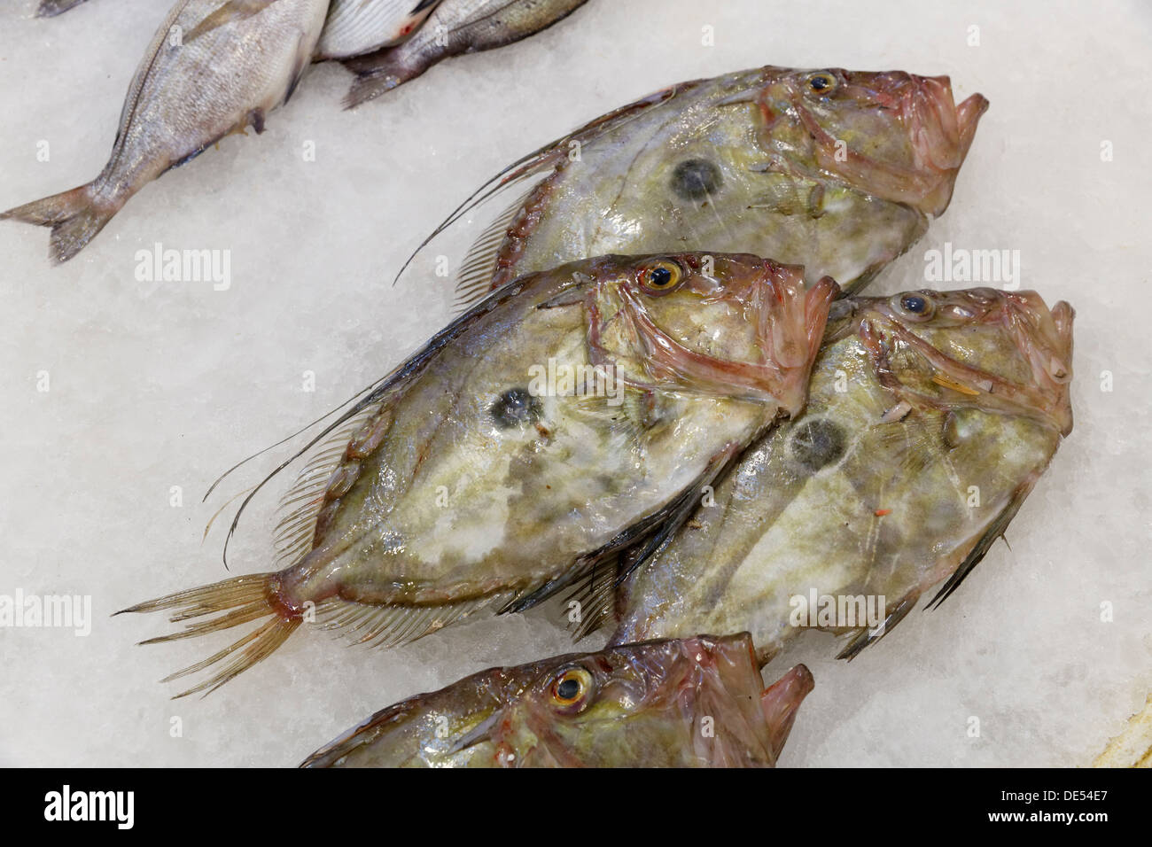 Fish market kusadasi turkey hi-res stock photography and images - Alamy