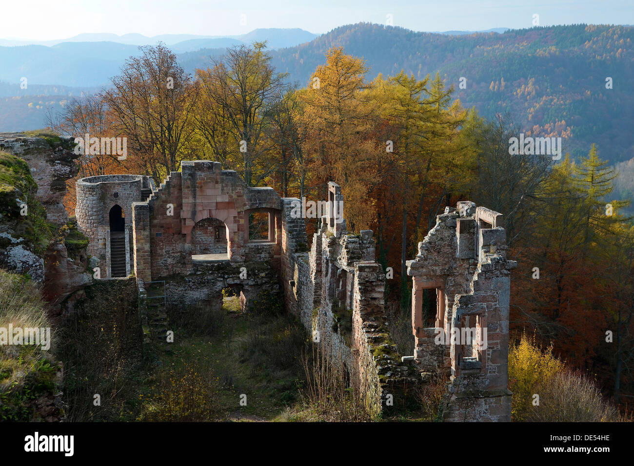 Ruins of Neuscharfeneck Castle in autumn, Pfälzerwald, Ramberg ...