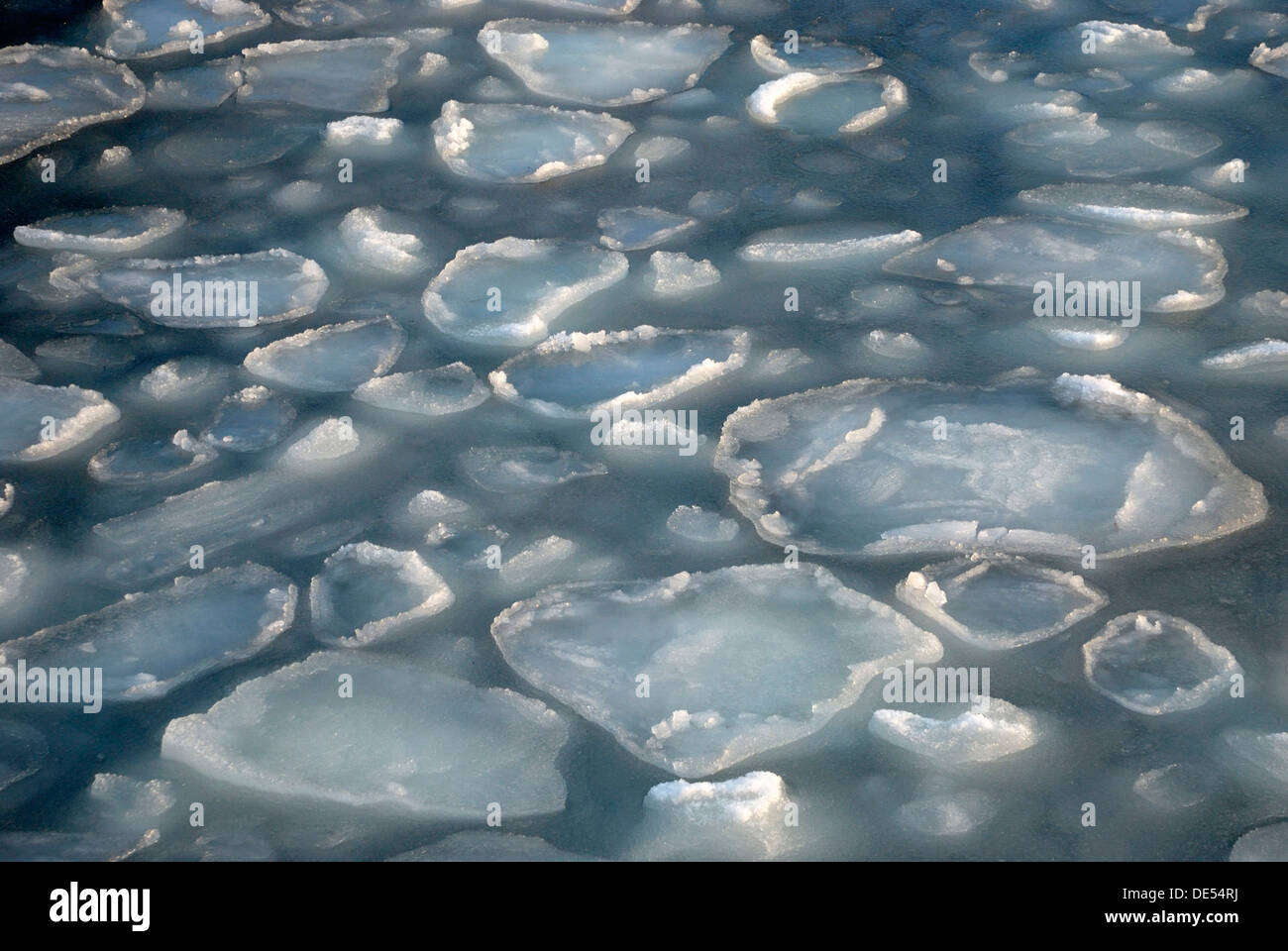 Ice floes in winter Stock Photo - Alamy