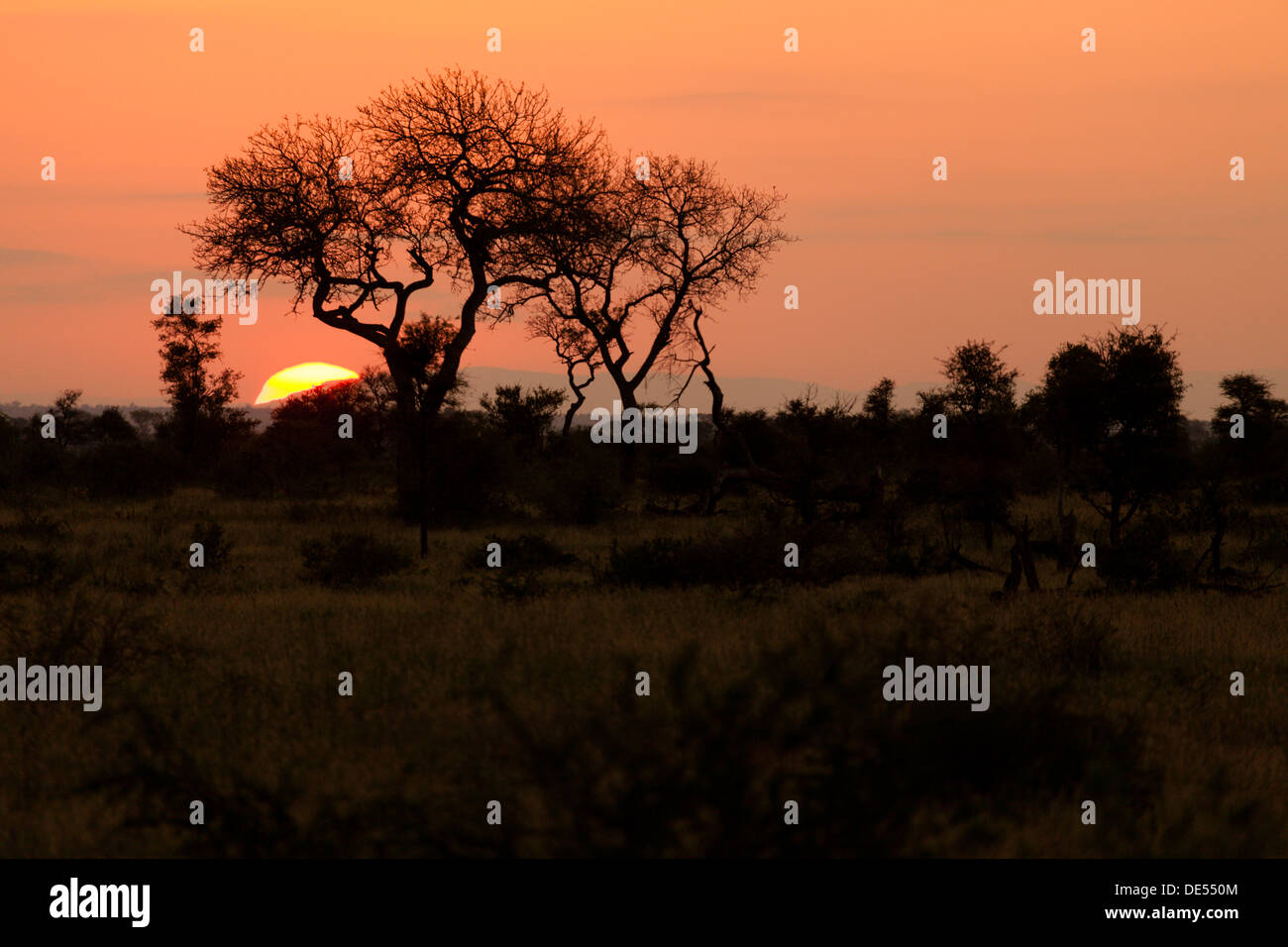 Beautiful african bright sunset hi-res stock photography and images - Alamy