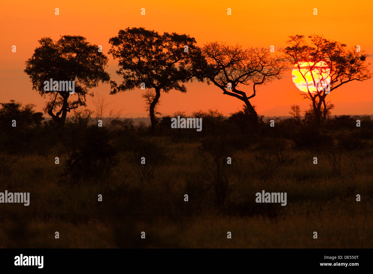 Beautiful african bright sunset hi-res stock photography and images - Alamy