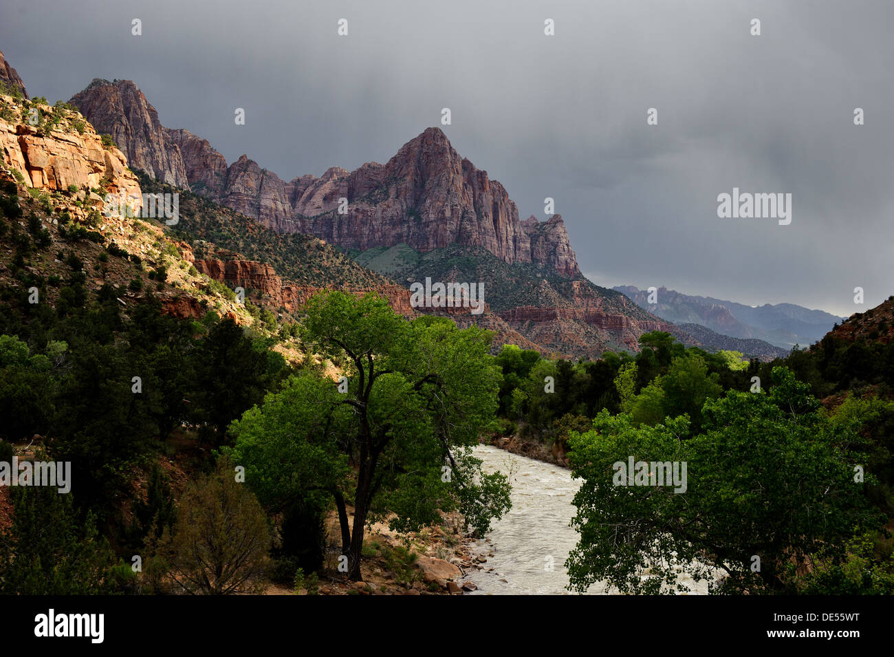 The watchman, zion national park hi-res stock photography and images ...