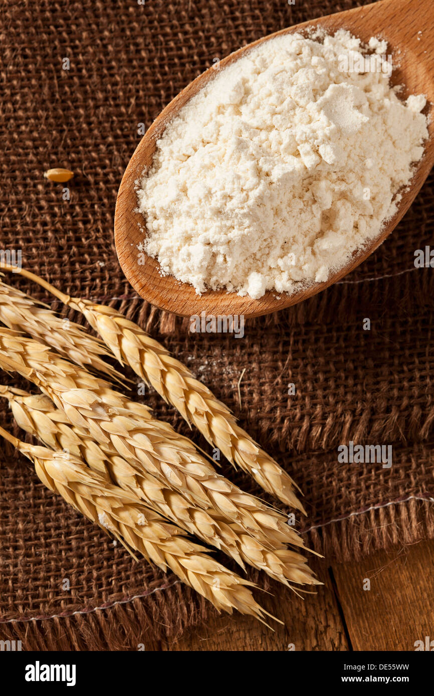 Organic Whole Wheat Flour Ready For Baking Stock Photo - Alamy
