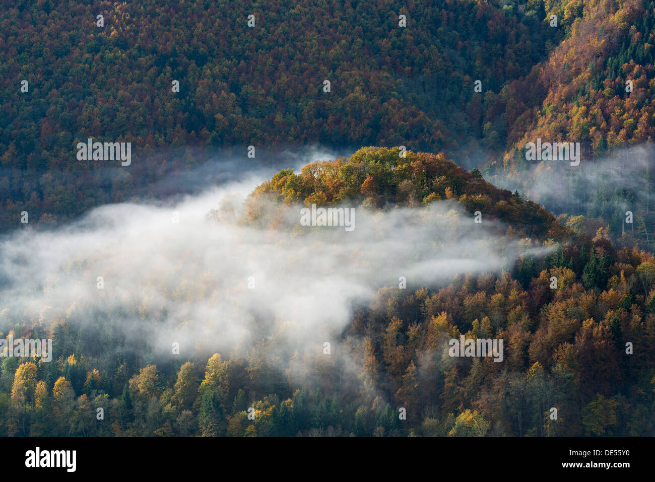 Autumn in the Upper Danube Nature Park, Baden-Wuerttemberg Stock Photo ...