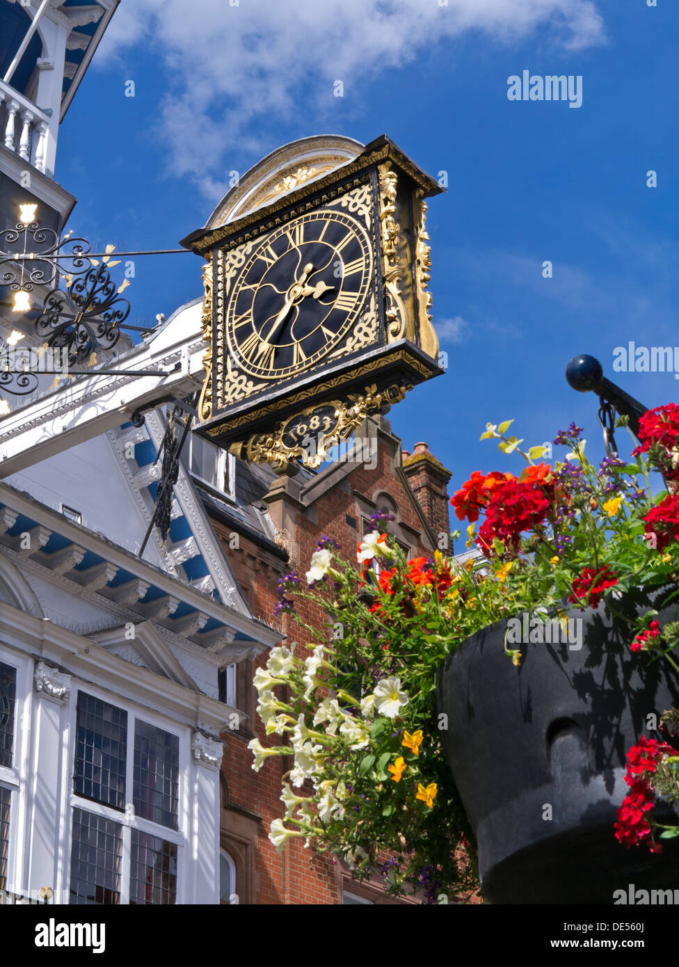 Hanging basket flowers hi-res stock photography and images - Alamy