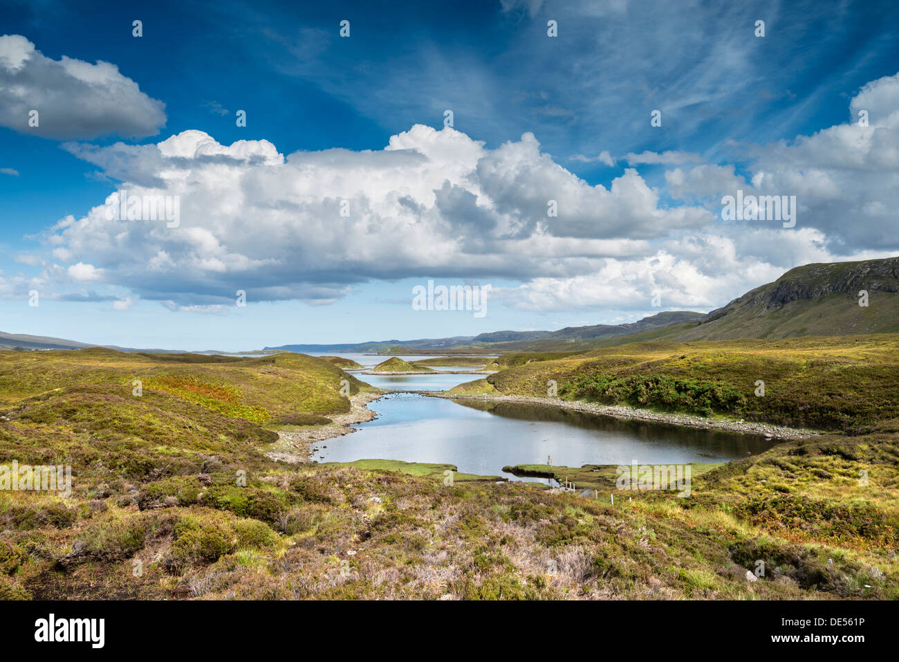 Polla hi-res stock photography and images - Alamy