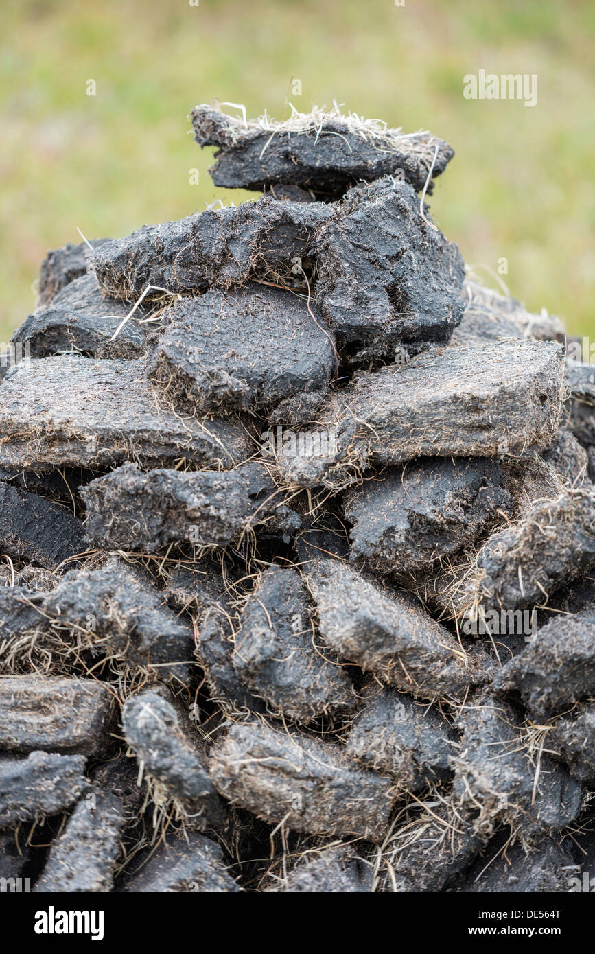 Stack of extracted peat from the Scottish Highland moors, Durness ...