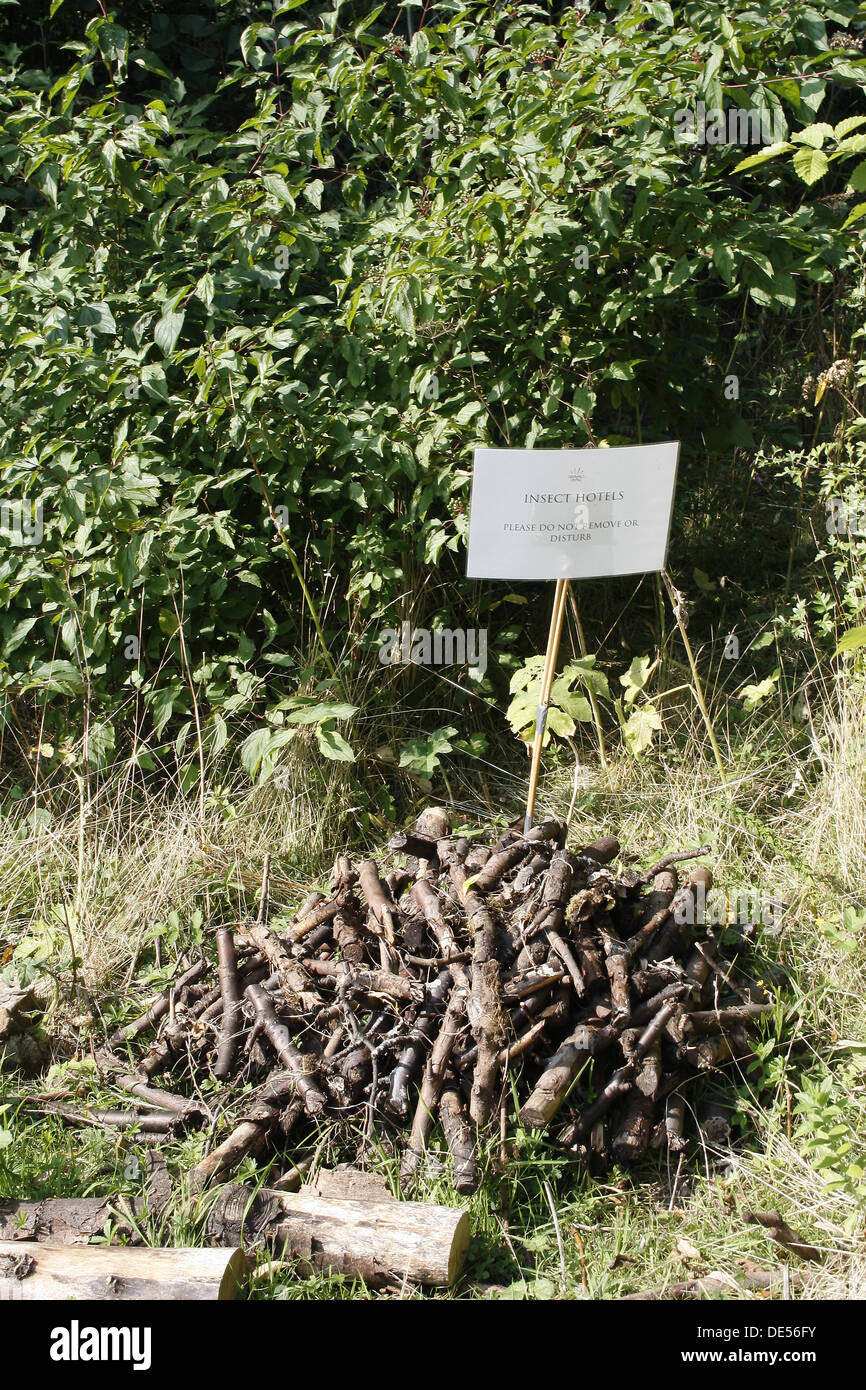 "insect hotel" Creswell Crags, Welbeck, Worksop, Nottinghamshire, UK ...