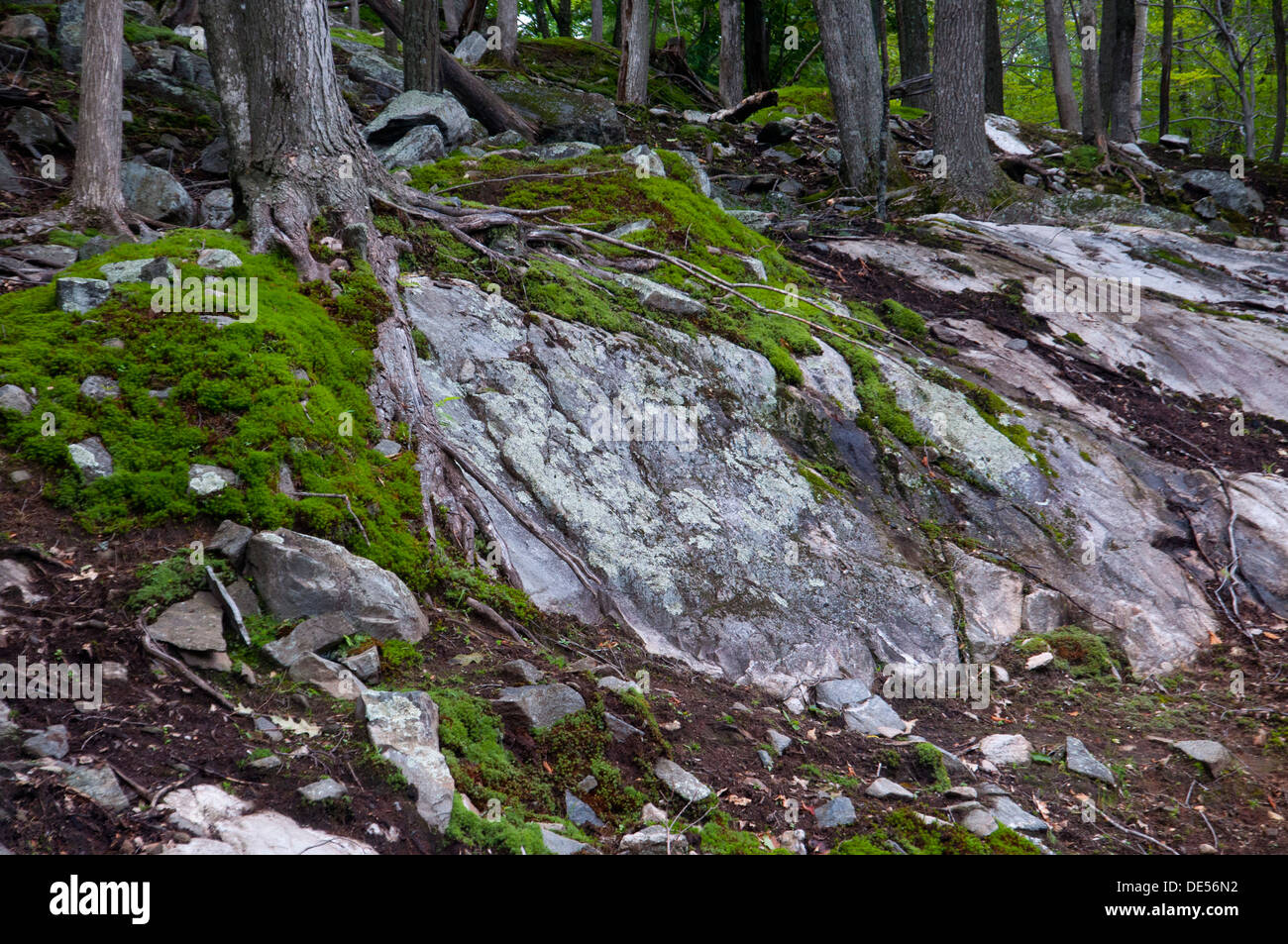 Bedrock canada hi-res stock photography and images - Alamy
