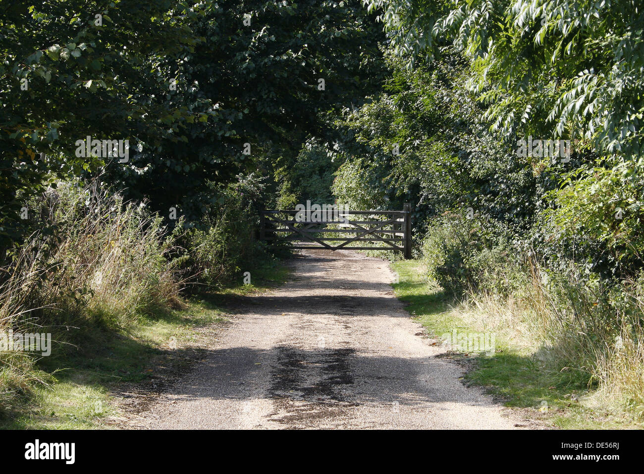 path and gate. Creswell Crags, Welbeck, Worksop, Nottinghamshire, UK ...