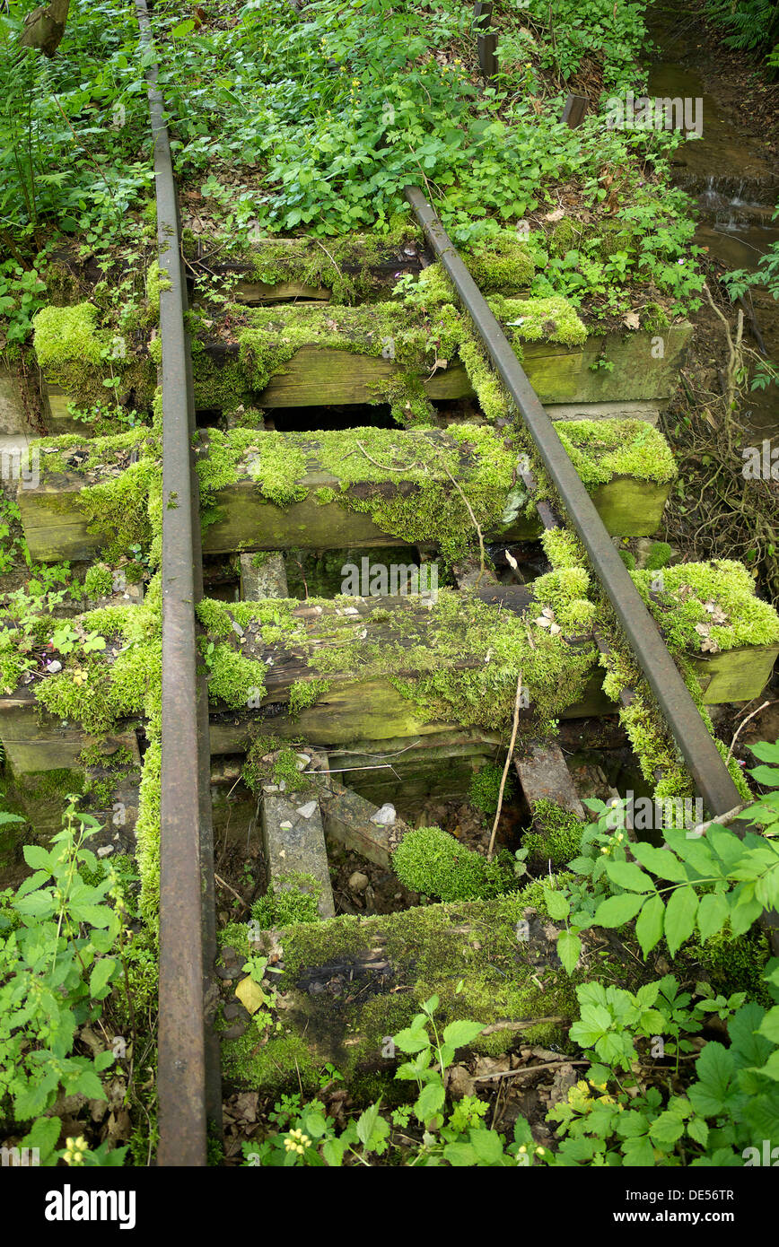 Overgrown Railway Track Stock Photos & Overgrown Railway Track Stock Images - Alamy